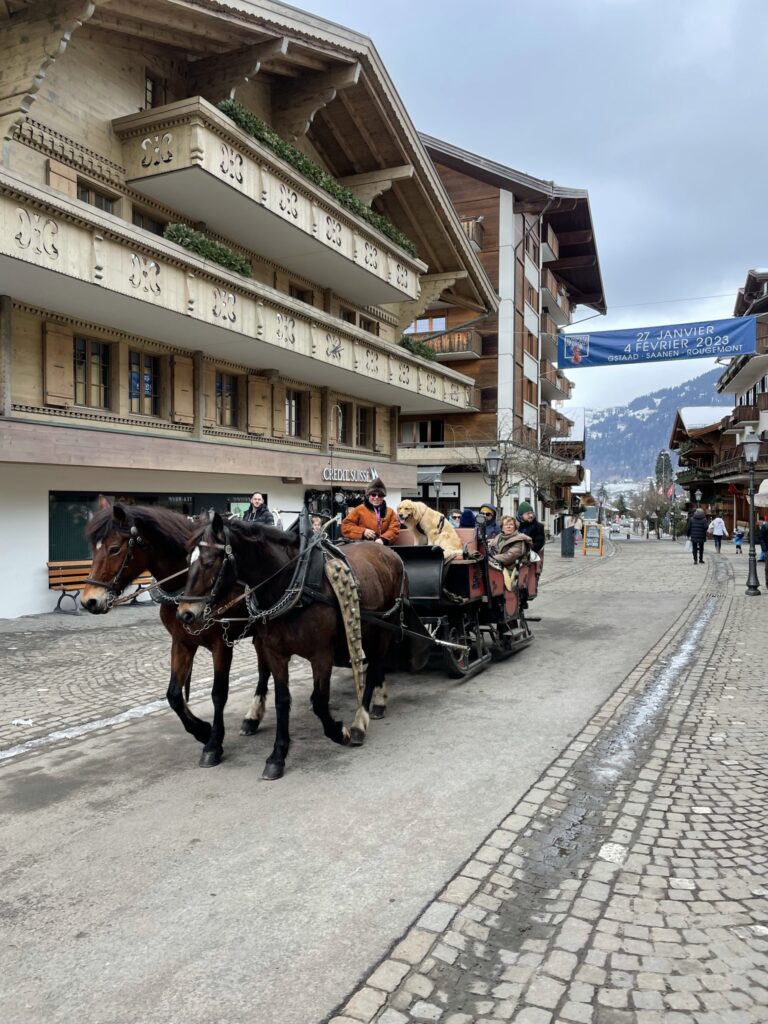 3-Day Travel Guide to Switzerland - maxed out PTO